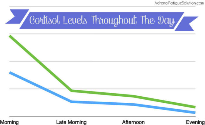 How Do Cortisol Levels Change Throughout The Day?
